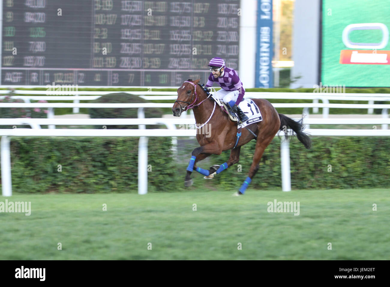 Passing finish line hi-res stock photography and images - Alamy