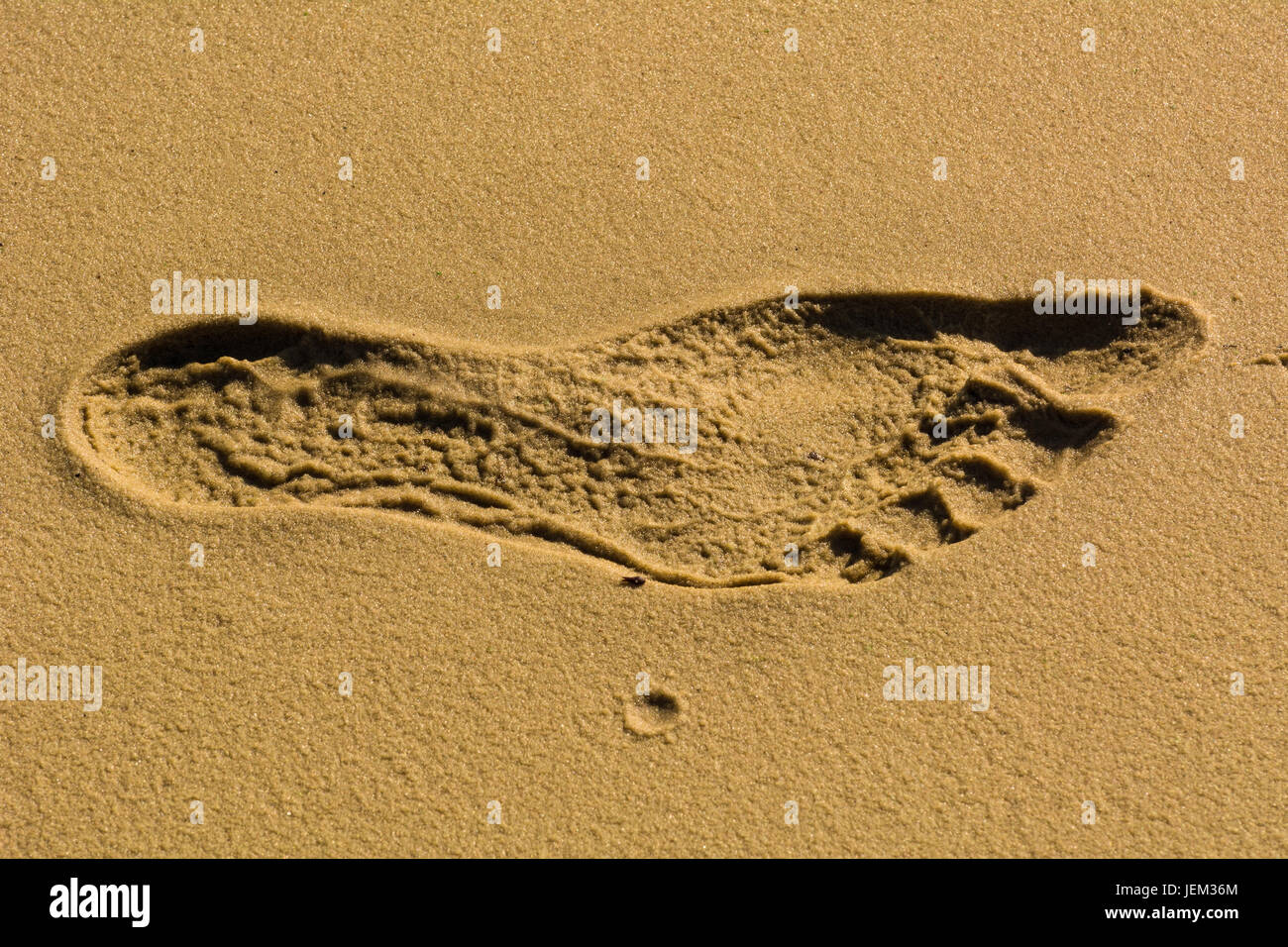 trace of human foot on the wet sand Stock Photo - Alamy