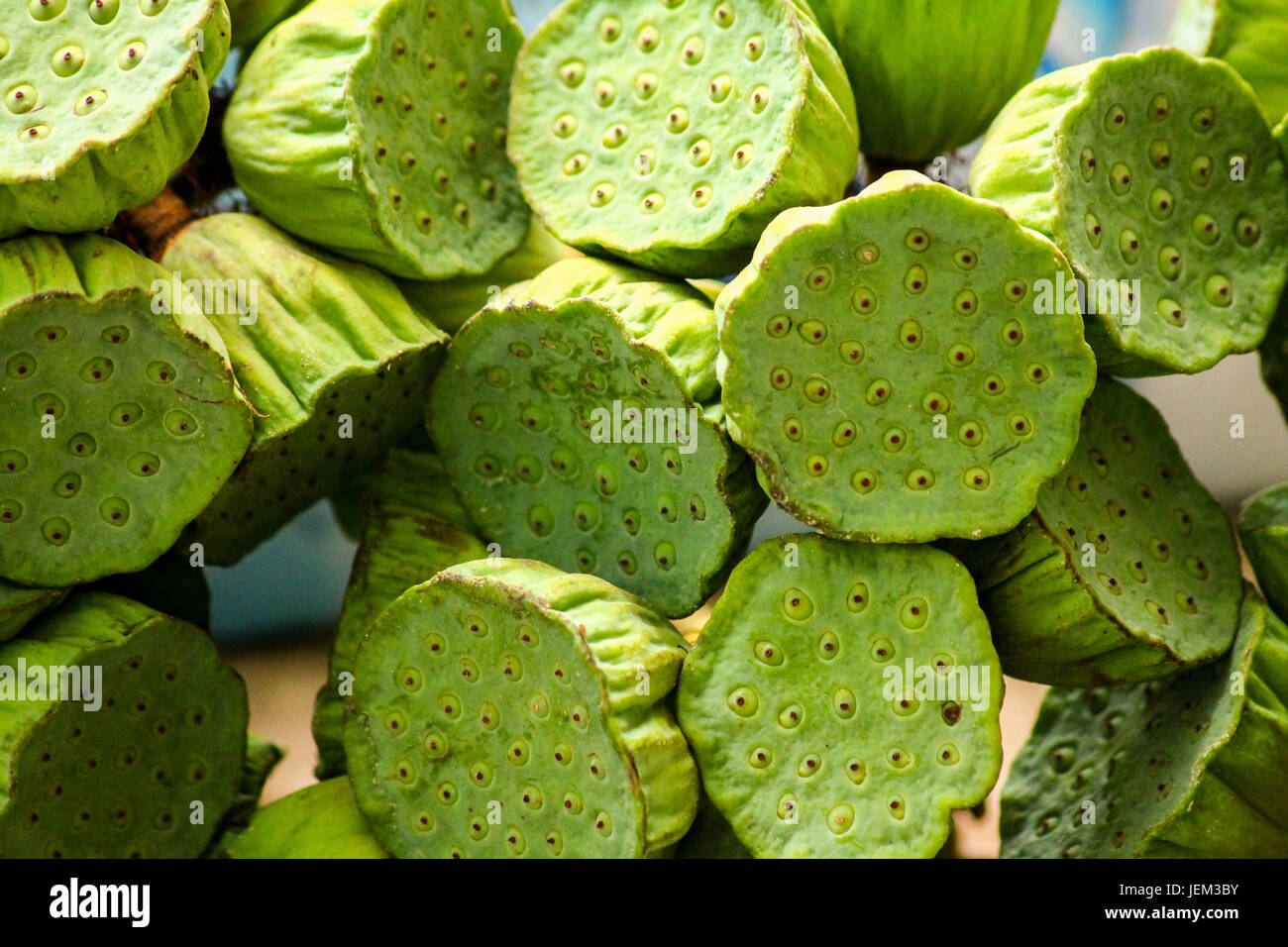 Lotus seed pod hi-res stock photography and images - Alamy
