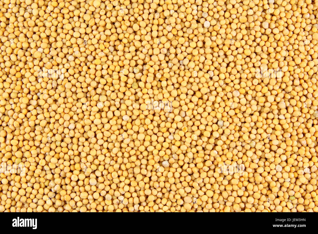 white mustard seeds closeup as a food background texture Stock Photo ...