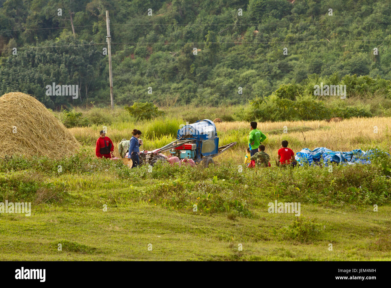 Farmers working in rice fields in rural landscape. Vang Vieng. Laos ...