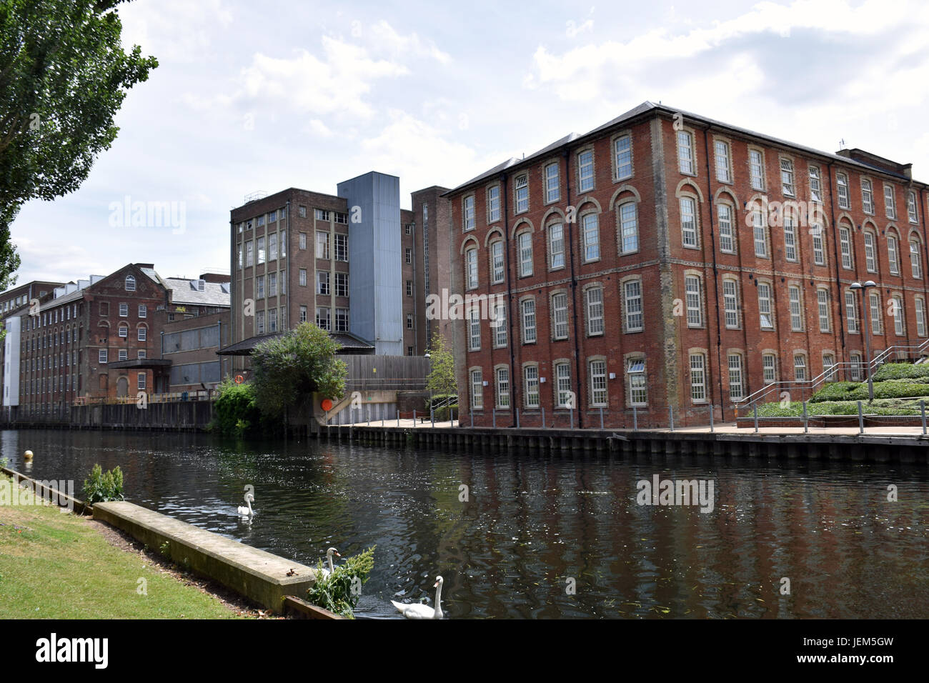 New housing developments on bank of River Wensum, Norwich UK 2017. On ...