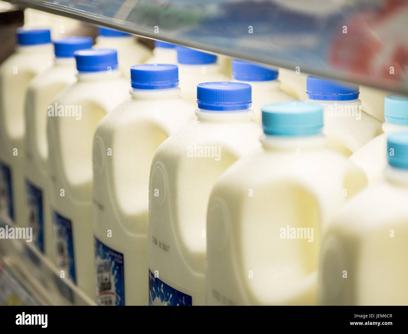 Row of fresh milk in supermarket Stock Photo - Alamy
