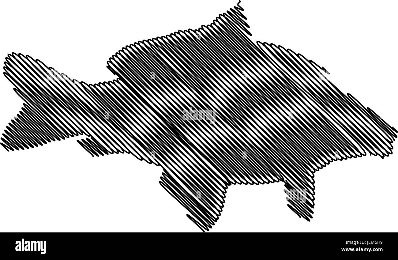 carp silhouette vector, (Cyprinus carpio Stock Vector Image & Art - Alamy