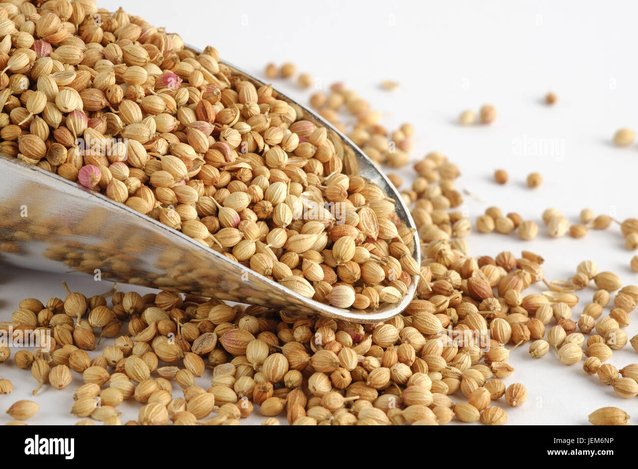 Coriander Seeds Stock Photos & Coriander Seeds Stock Images - Alamy