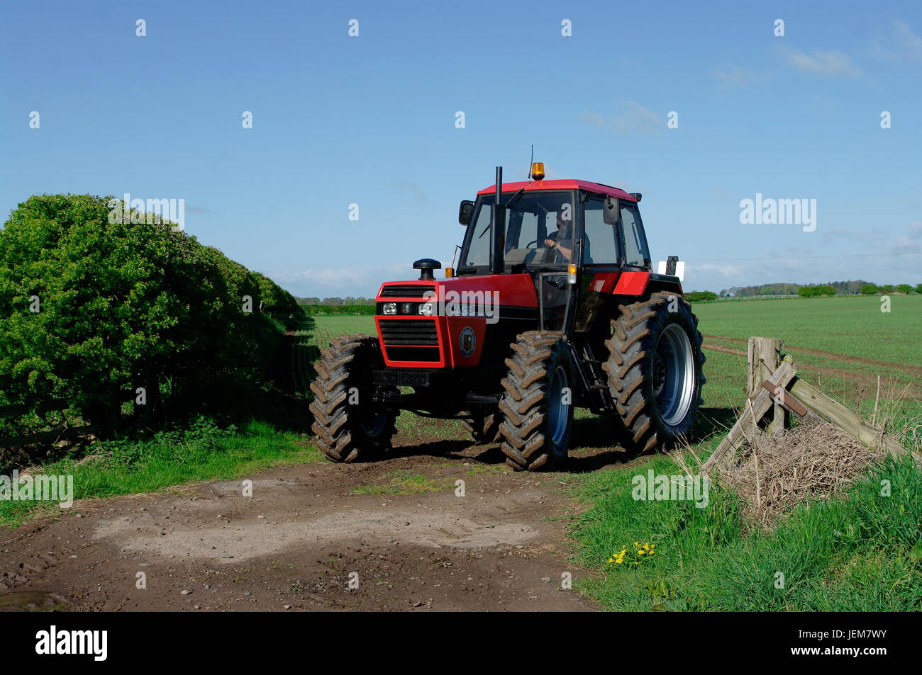 Case International 1594 Tractor Stock Photo - Alamy