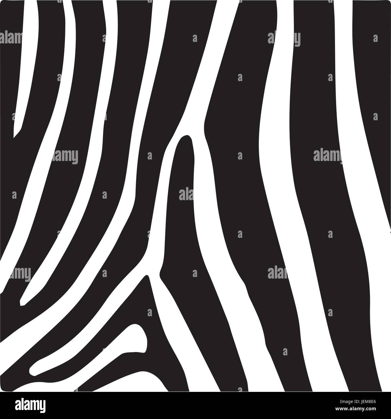 zebra texture skin Grunge overlay texture Abstract vector template ...