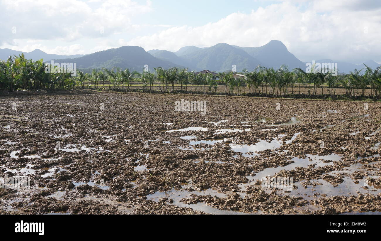 Field full of mud hi-res stock photography and images - Alamy
