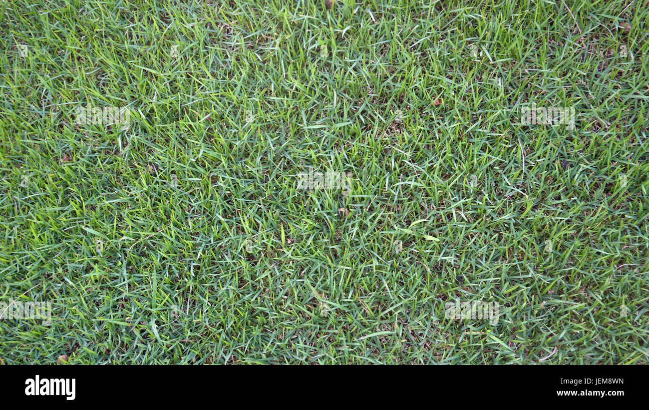 Synthetic grass texture Stock Photo - Alamy