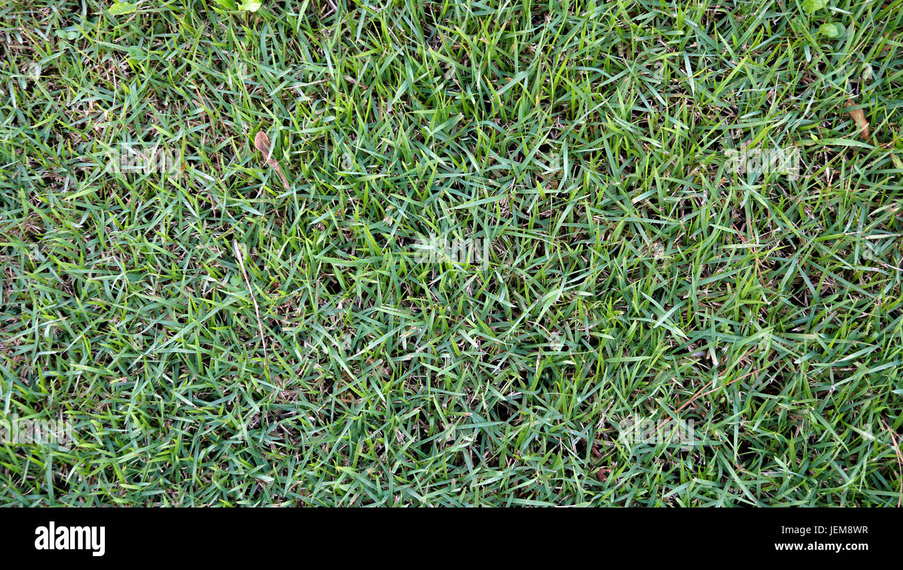 Synthetic grass texture Stock Photo - Alamy
