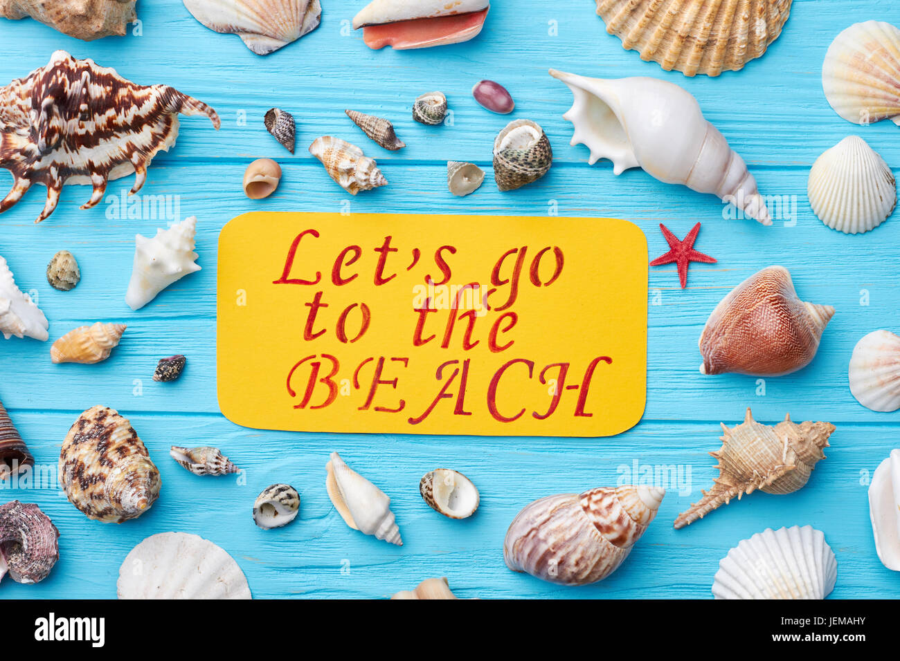 Sea shells, message, blue background. Composition of sea shells around ...