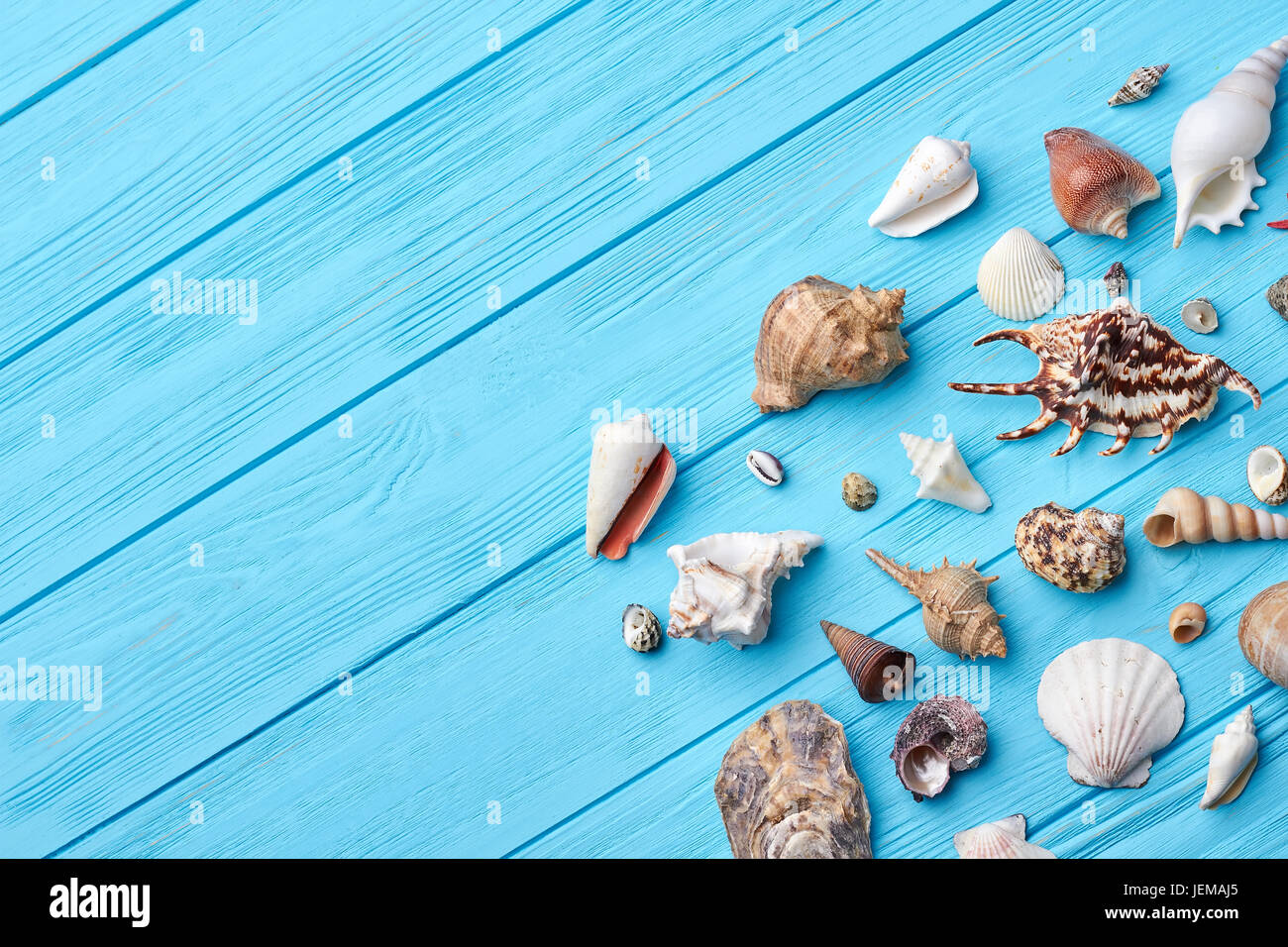 Sea shells, textured blue background. Marine objects from trip on ...