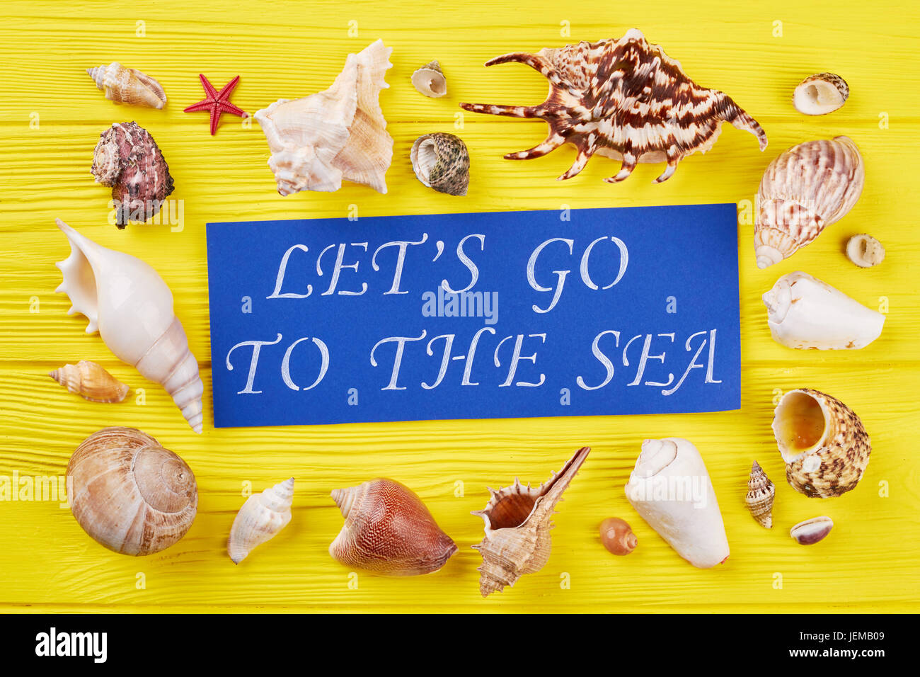 Summer composition from marine shells. Time to visit south country ...