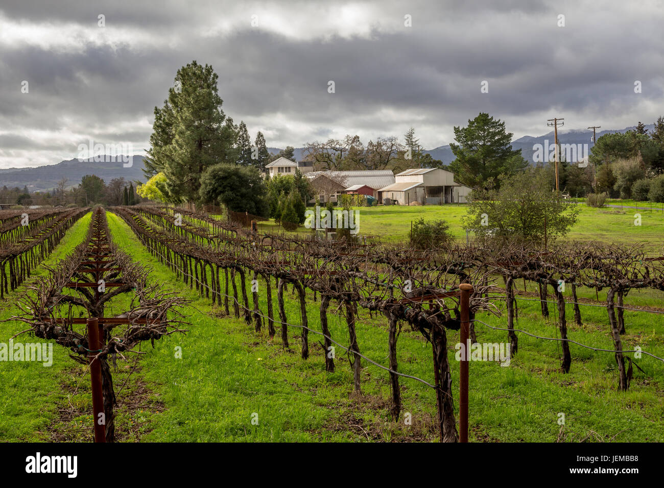 Hagafen cellars hi-res stock photography and images - Alamy