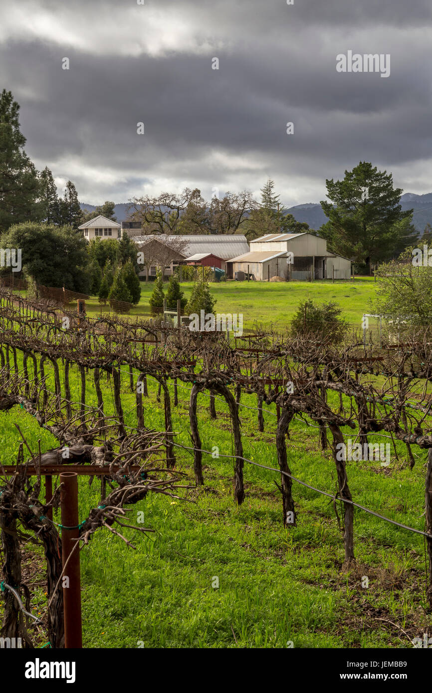 Hagafen cellars hi-res stock photography and images - Alamy