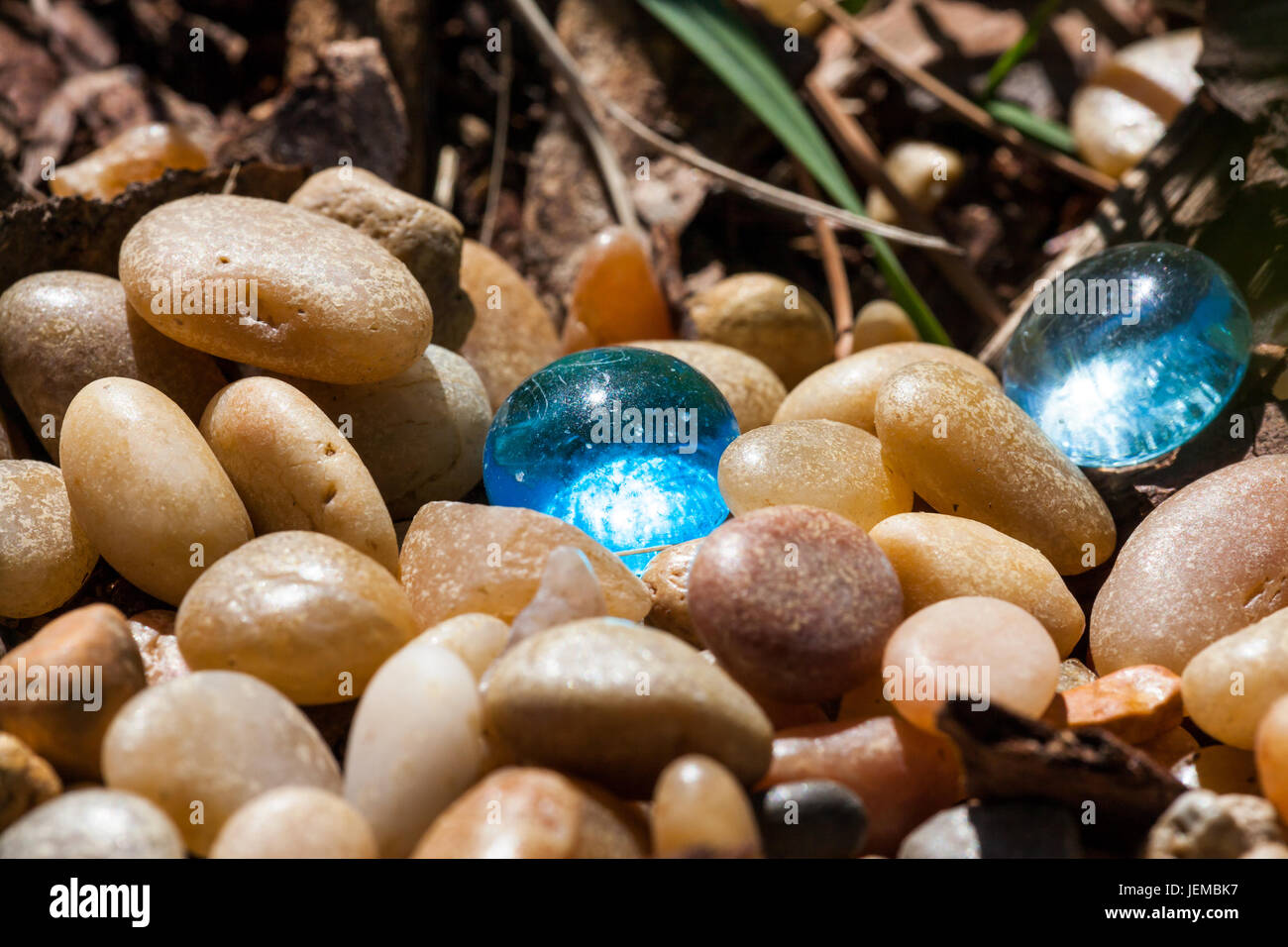 Sunshine lights up two blue glass pebbles scattered among small tumbled ...