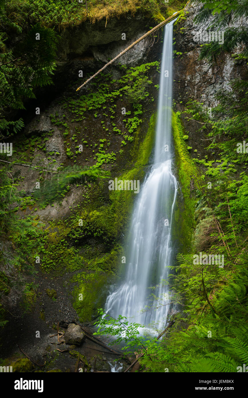 Lake crescent marymere falls hi-res stock photography and images - Alamy