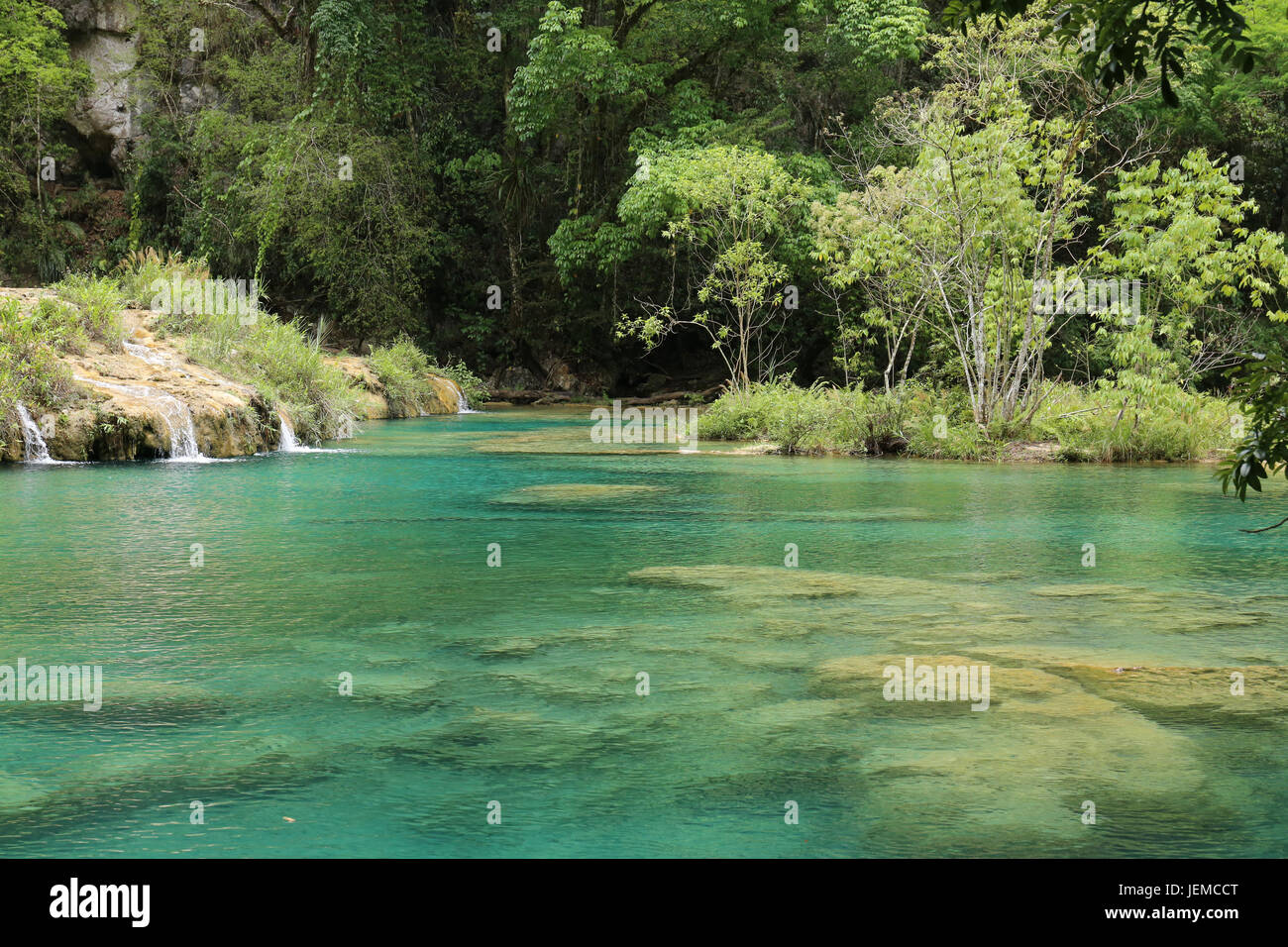 Semuc Champey natural swimming pools, Guatemala Stock Photo - Alamy