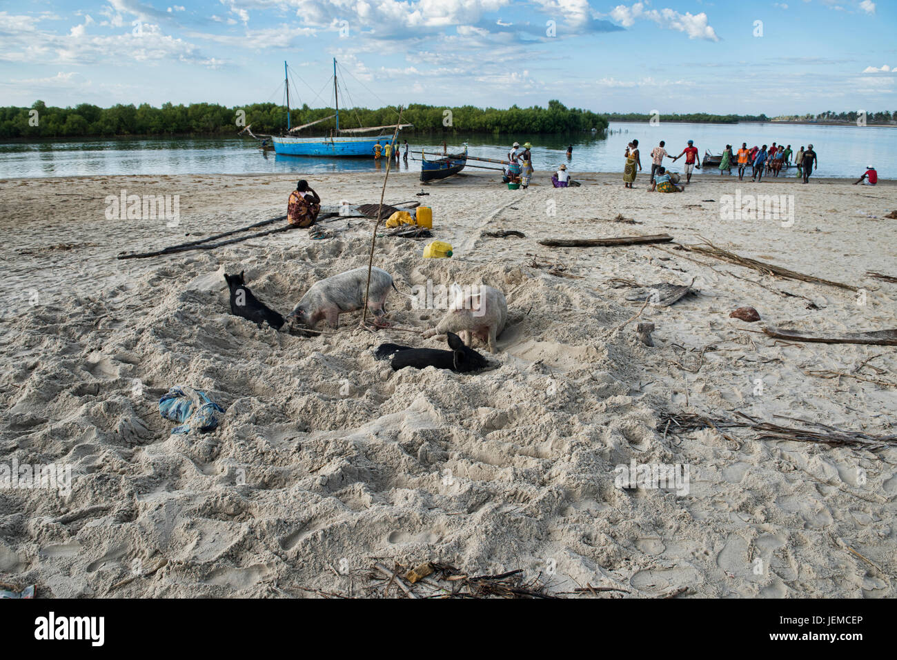 Betania village is noted for its "sunbathing pigs", Morondava ...