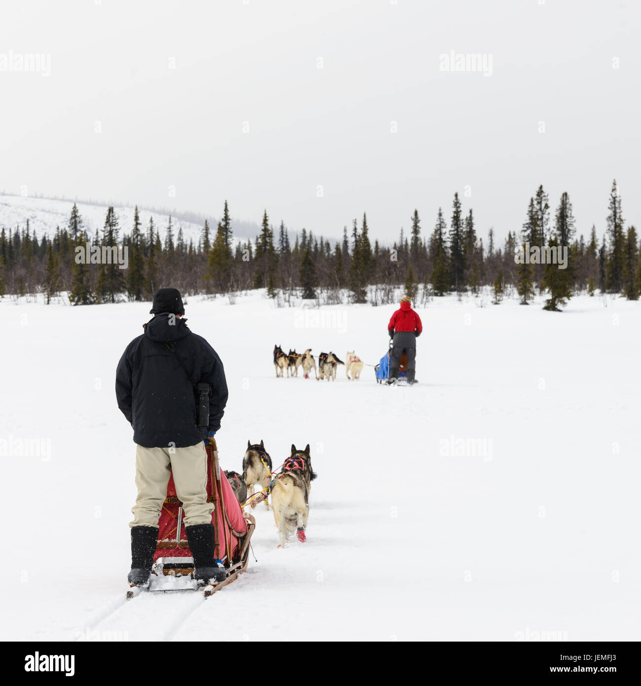 Dog sledges hi-res stock photography and images - Alamy