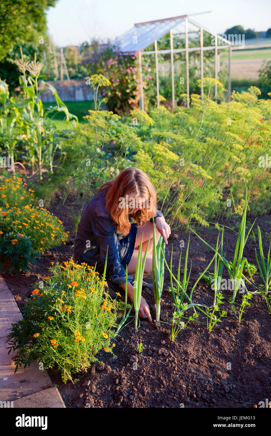 Woman working in garden Stock Photo - Alamy