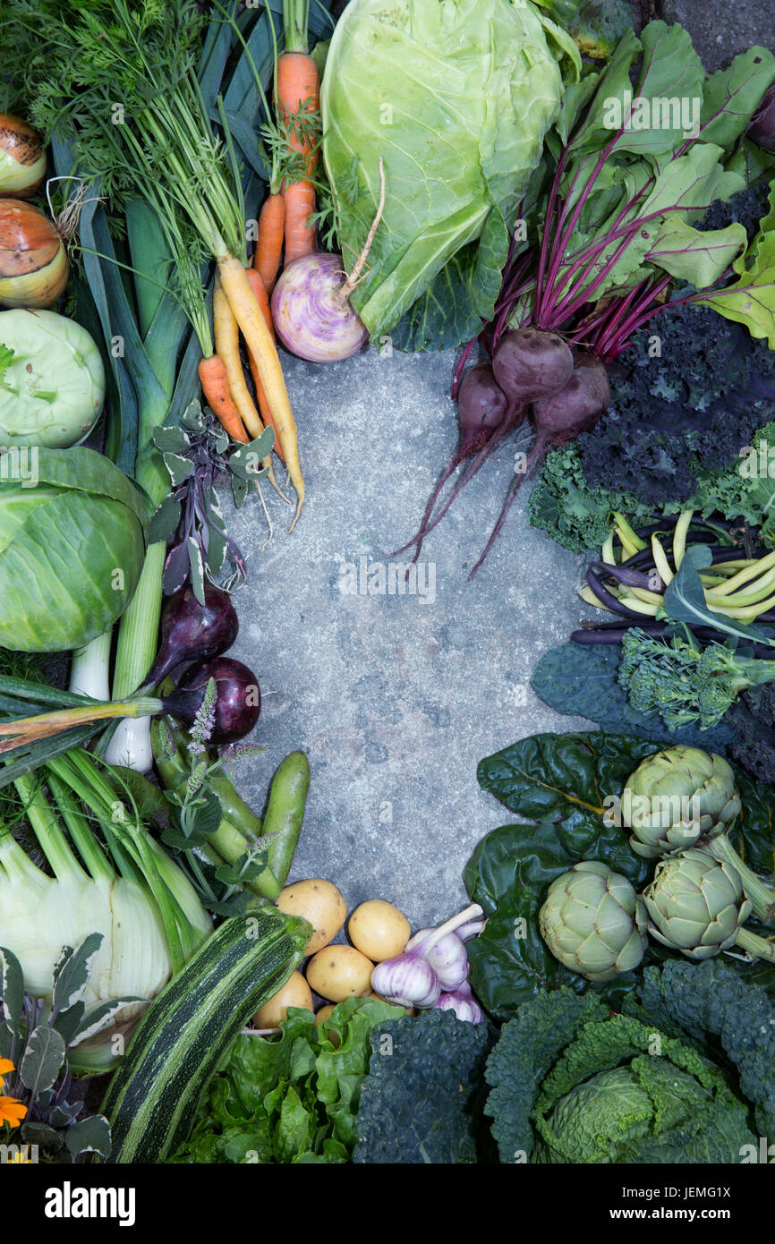 Various vegetables against concrete background Stock Photo - Alamy