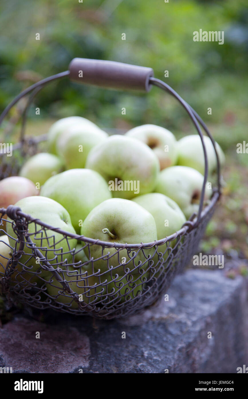 Apples in wire basket Stock Photo - Alamy