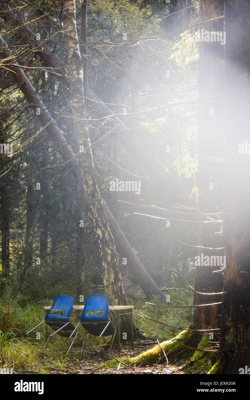 Old chairs in forest Stock Photo - Alamy