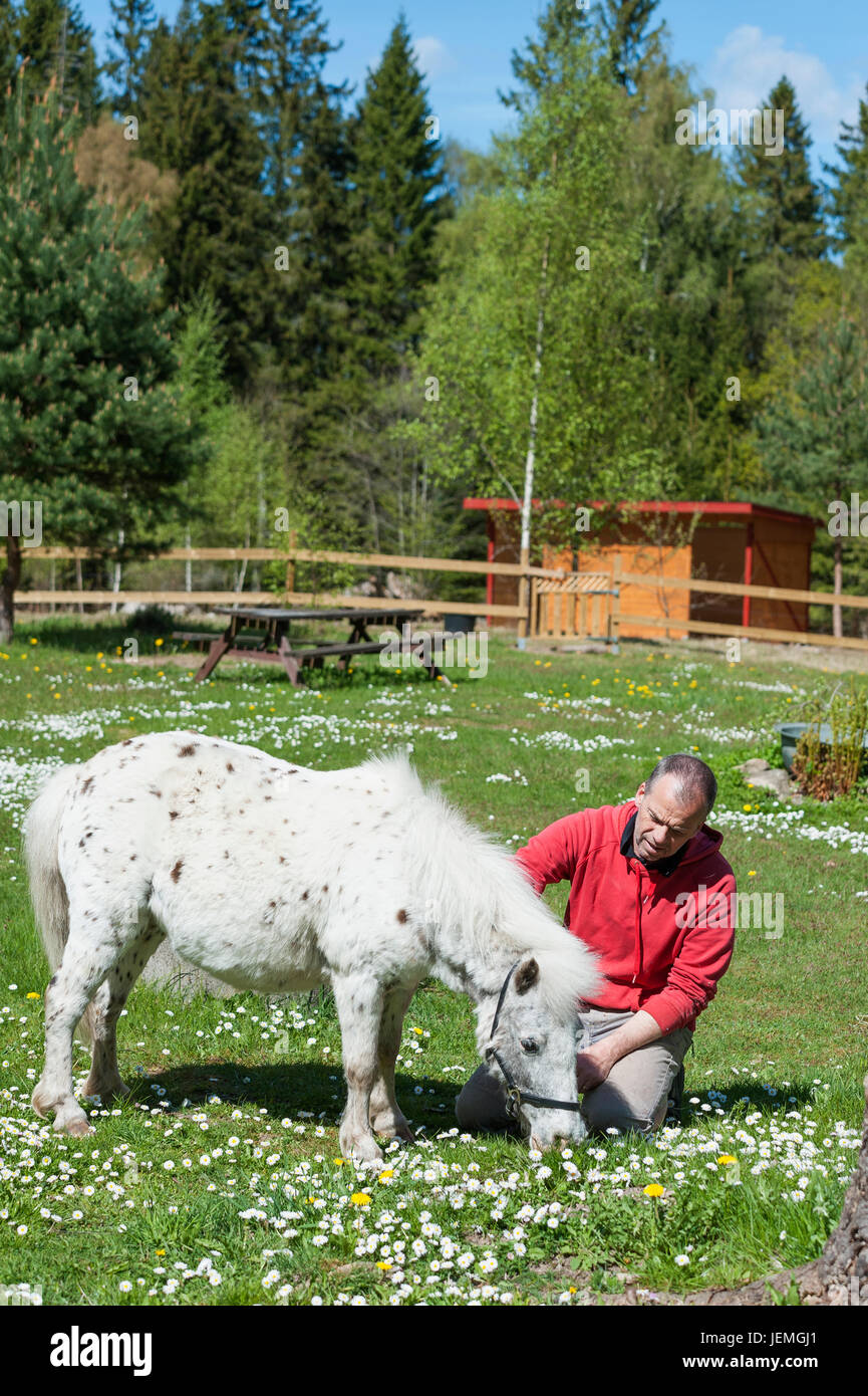 Two men silhouette horse hi-res stock photography and images - Alamy
