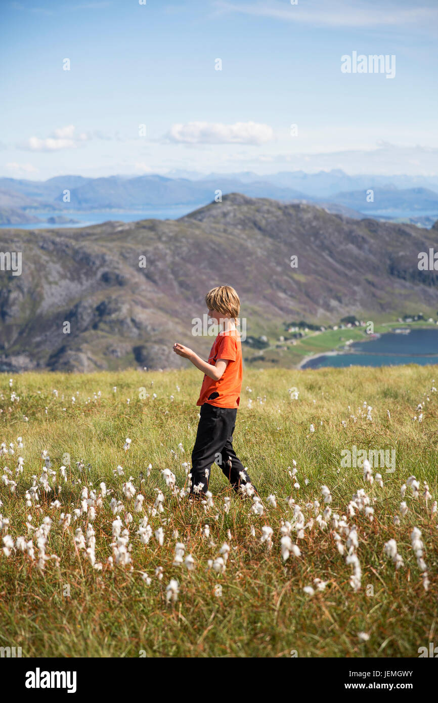 Boy on meadow Stock Photo - Alamy