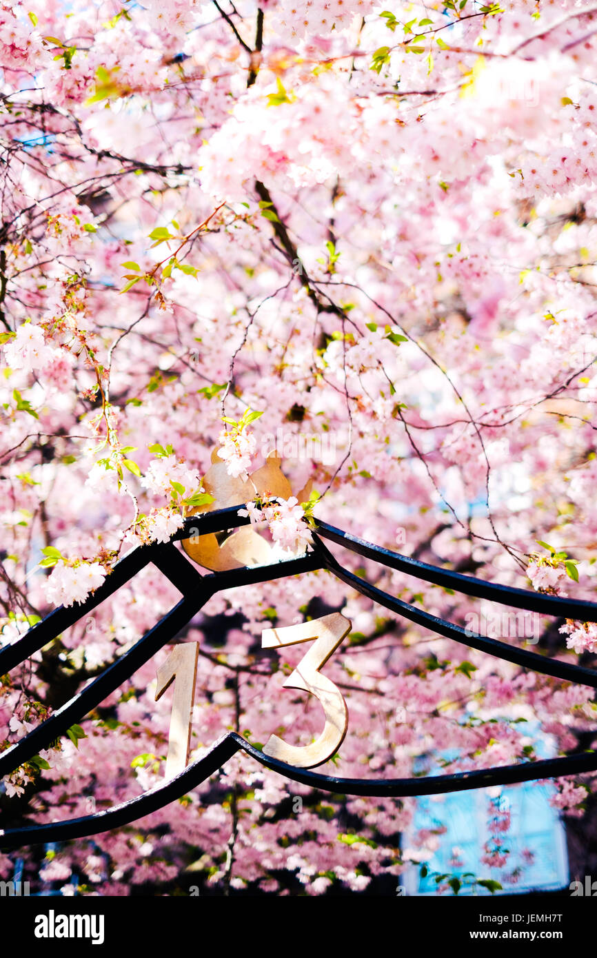 Gate with number 13 under blossoming trees Stock Photo - Alamy