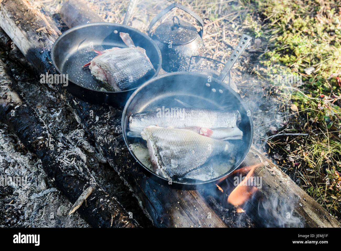 Fish is frying on campfire Stock Photo - Alamy