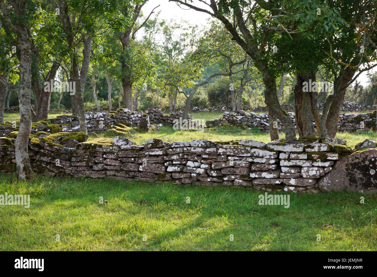 Stone wall oland sweden hi-res stock photography and images - Alamy