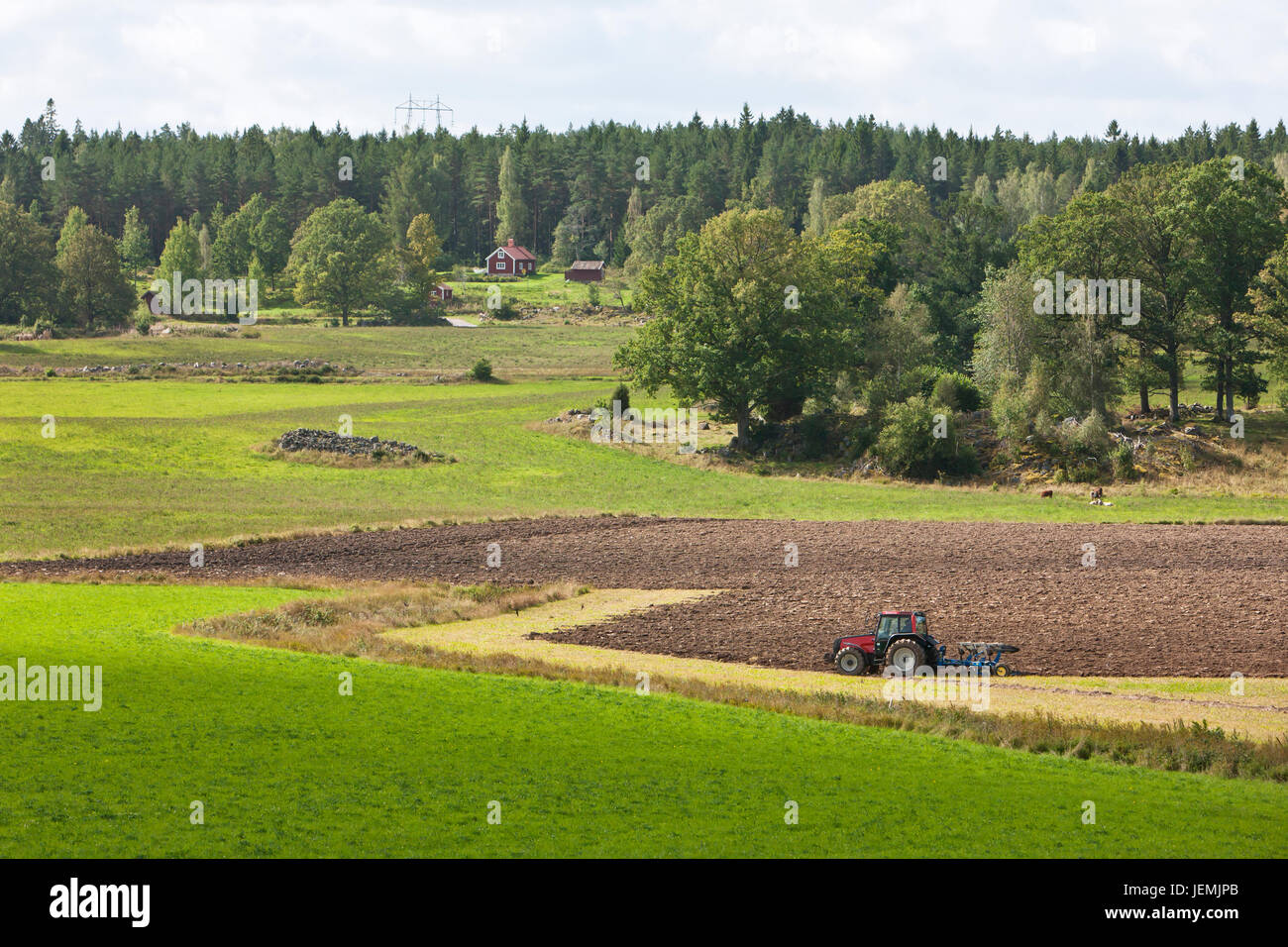 Tractor plowing field Stock Photo - Alamy