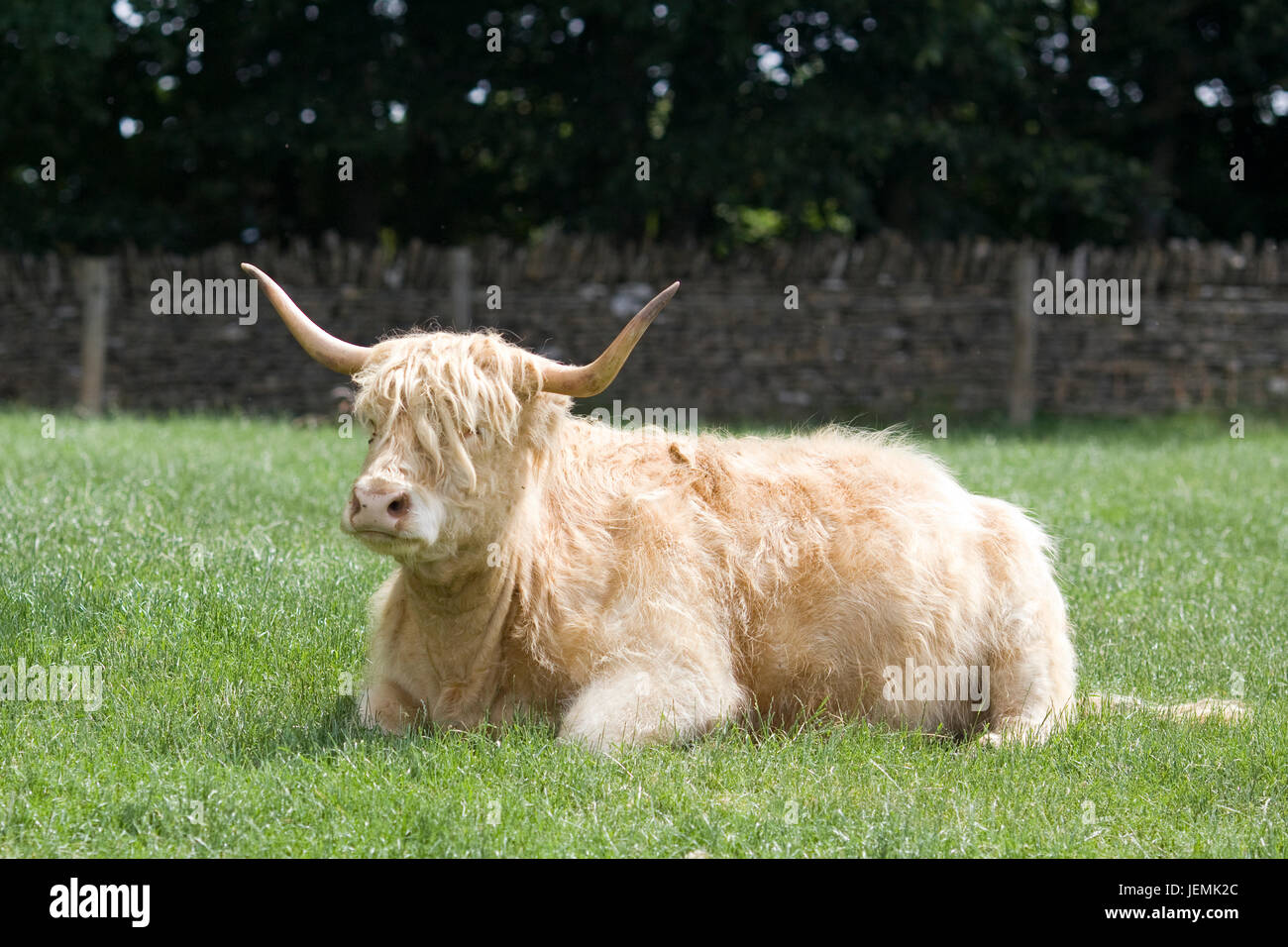 The dun cow hi-res stock photography and images - Alamy