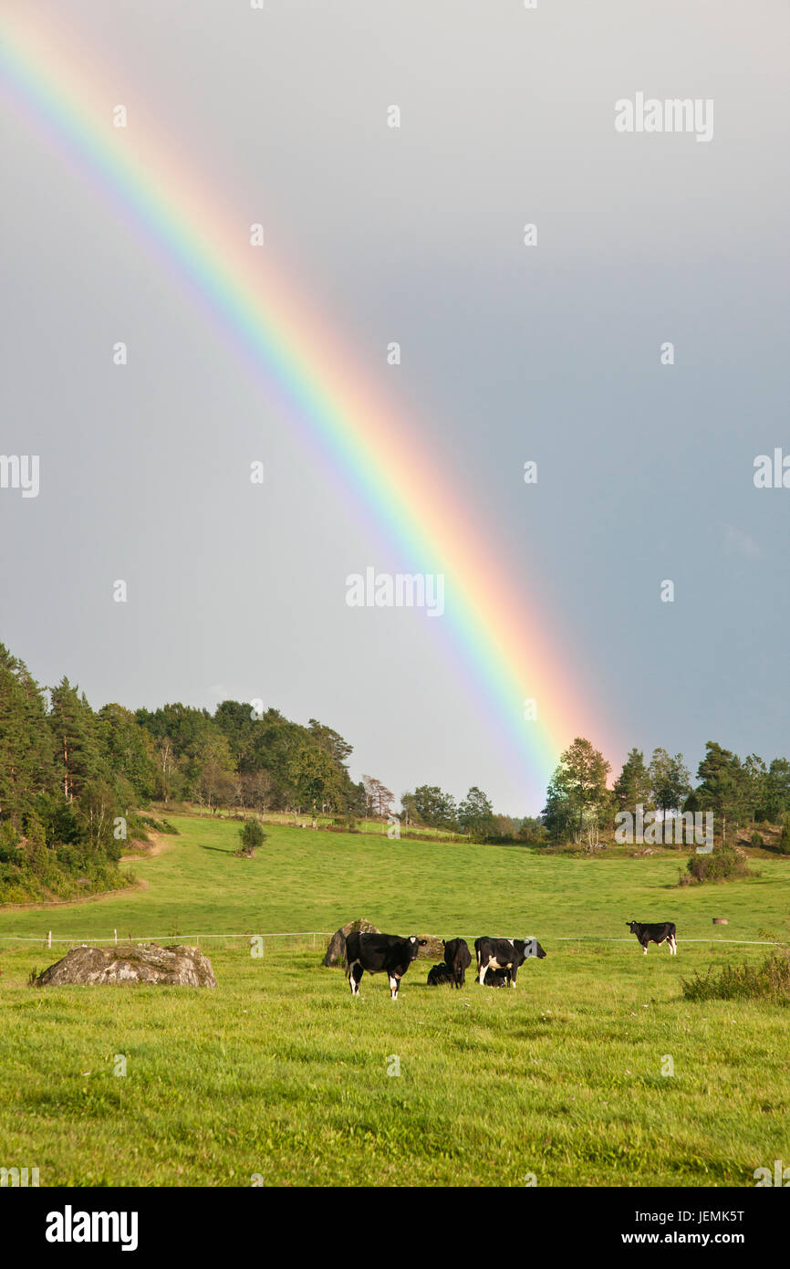 Rainbow above pasture Stock Photo - Alamy