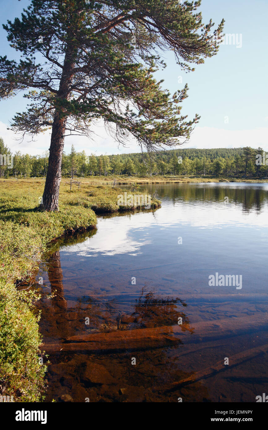 Scenic landscape with river Stock Photo - Alamy