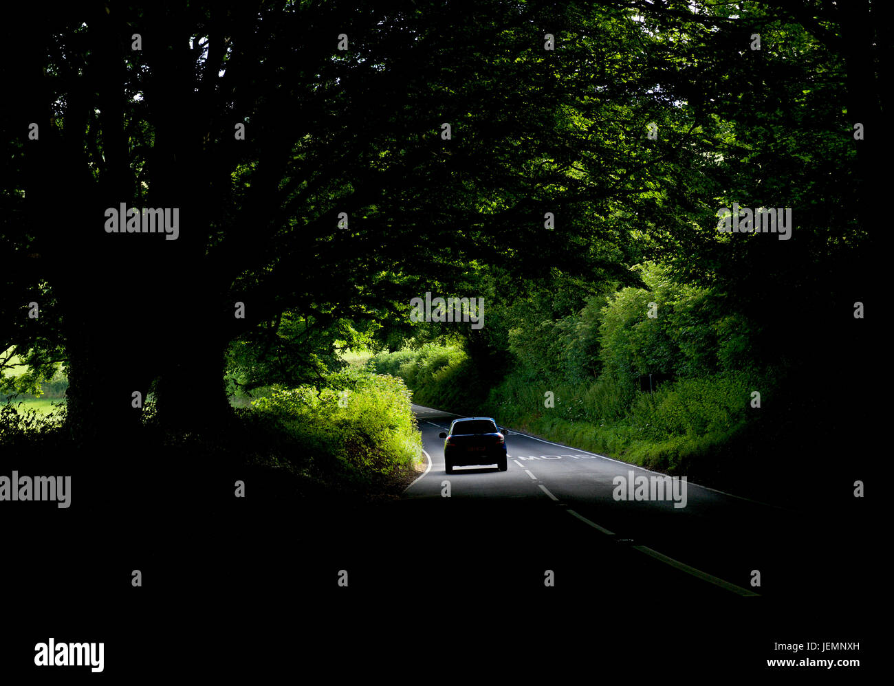 Car in country field hi-res stock photography and images - Alamy
