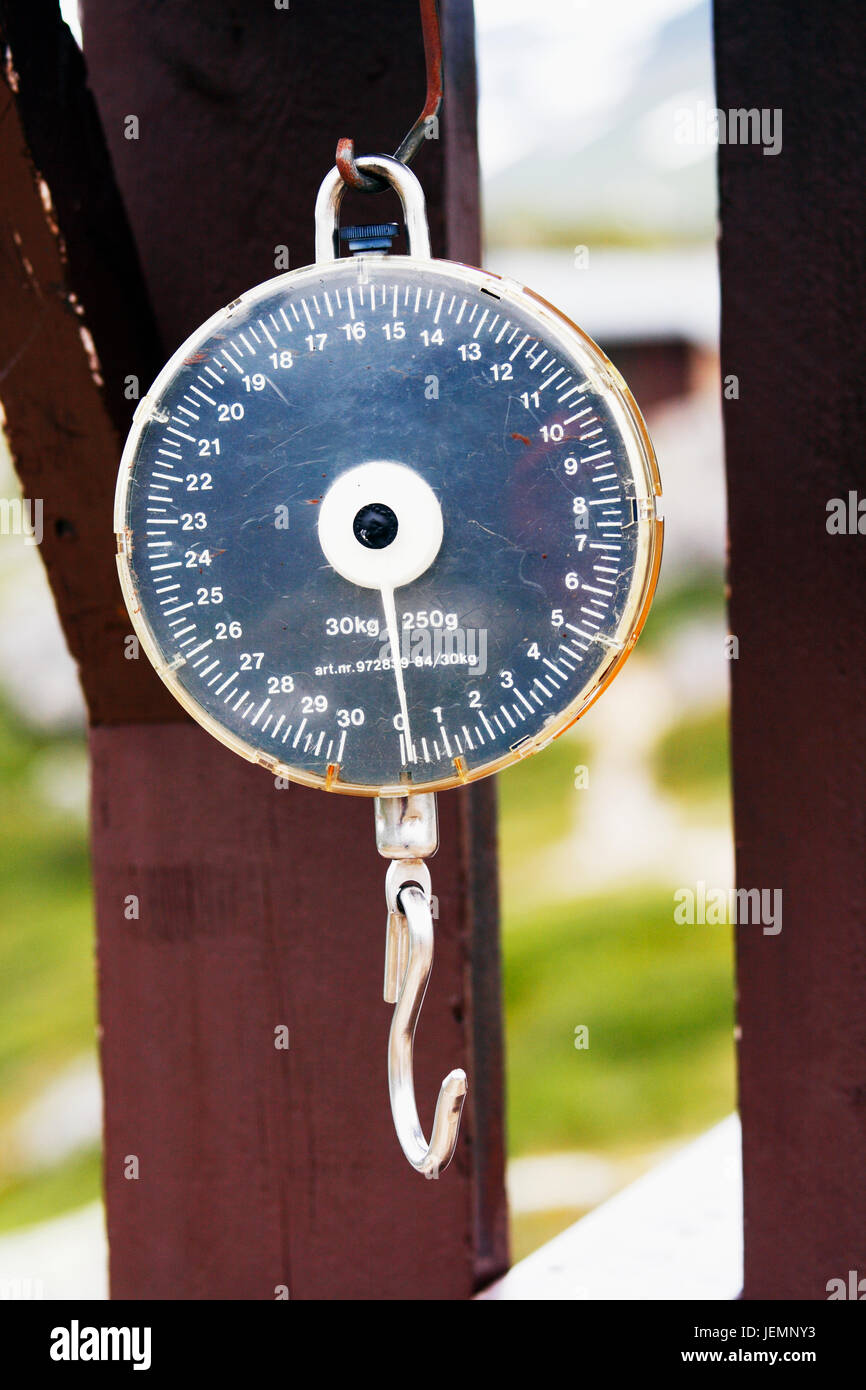 Scale hanging on hook Stock Photo - Alamy
