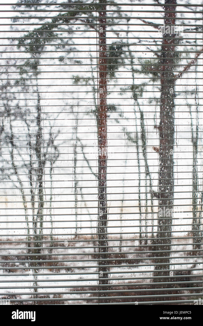 Window trees, view through window Stock Photo - Alamy