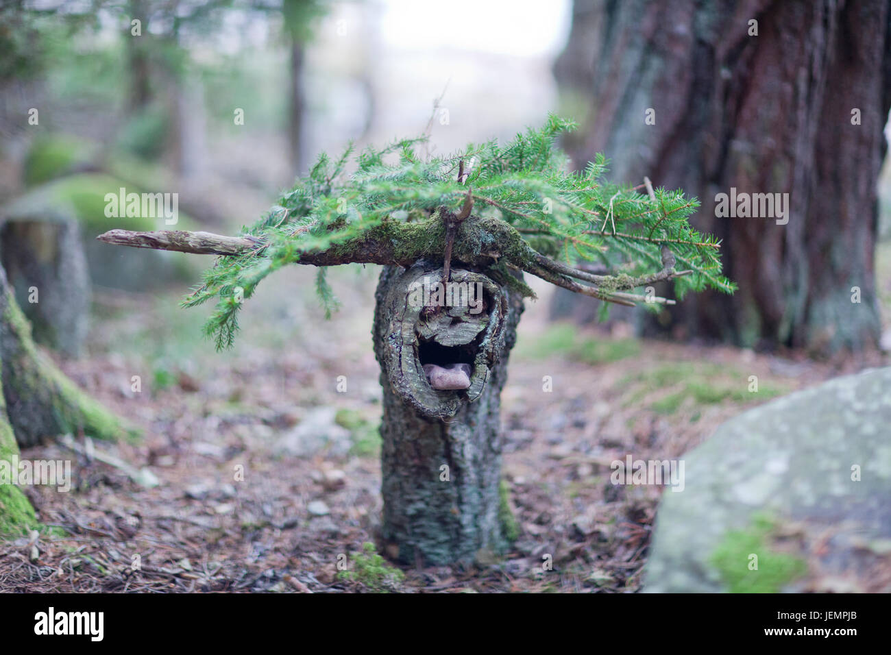 A stump looking like a man Stock Photo - Alamy