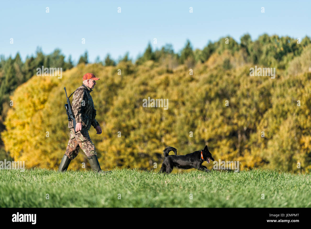 Man hunting with dog Stock Photo - Alamy