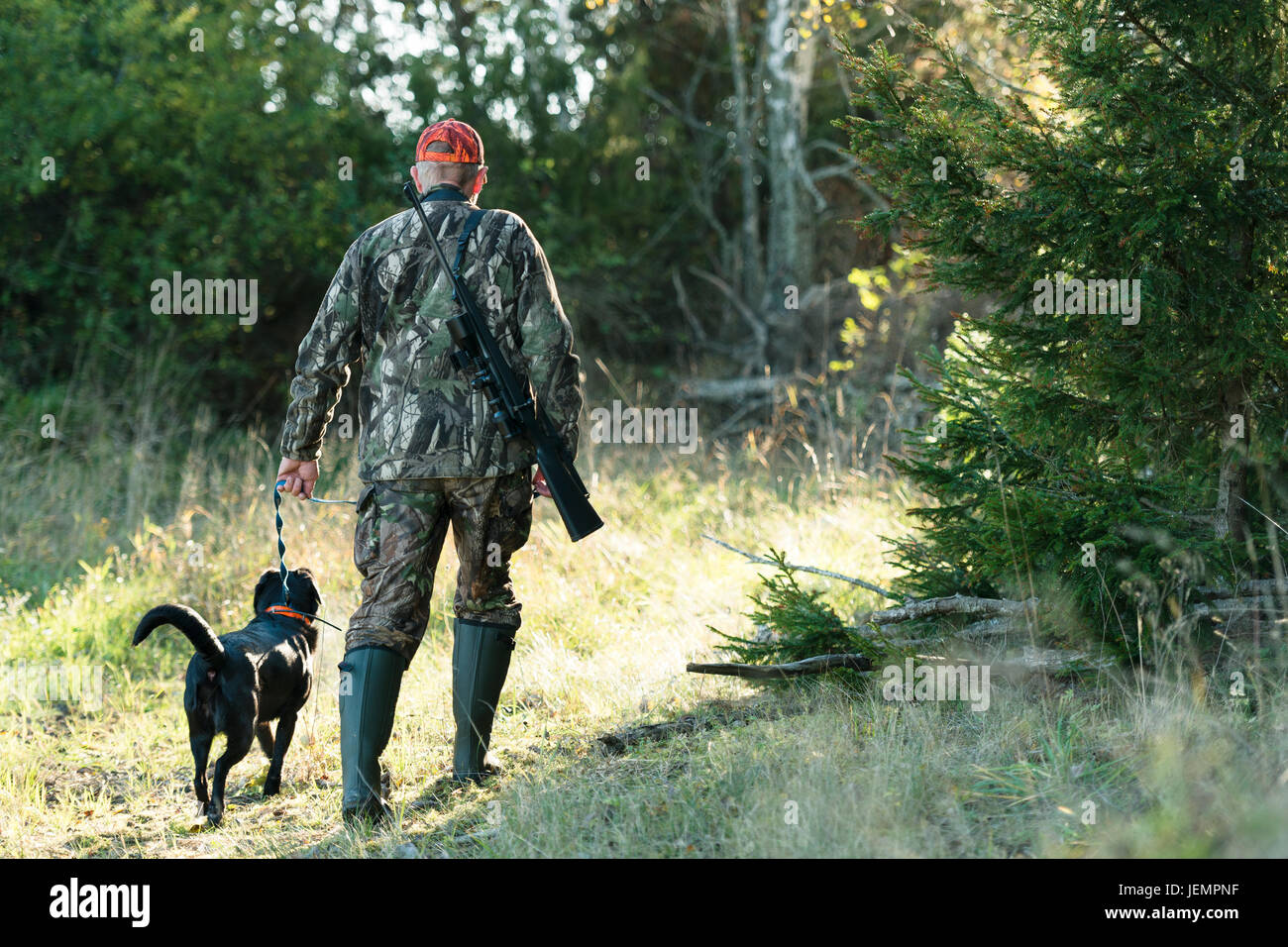 Man hunting with dog Stock Photo - Alamy