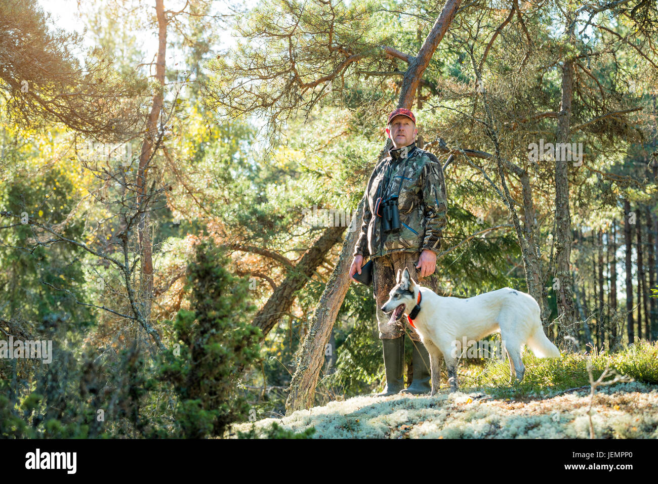 Man hunting with dog Stock Photo - Alamy