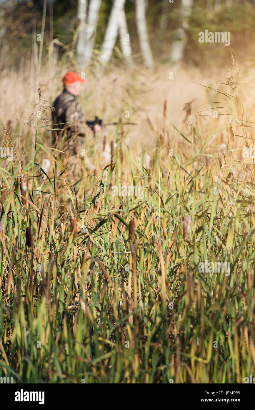 Man hunting, grass on foreground Stock Photo - Alamy