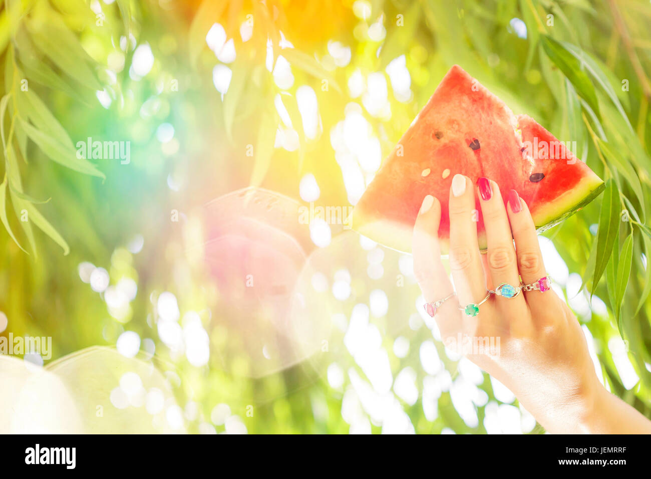 Hand holding melon hi-res stock photography and images - Alamy