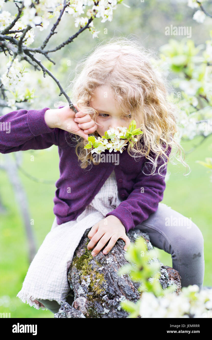 Girl smelling tree blossom Stock Photo - Alamy