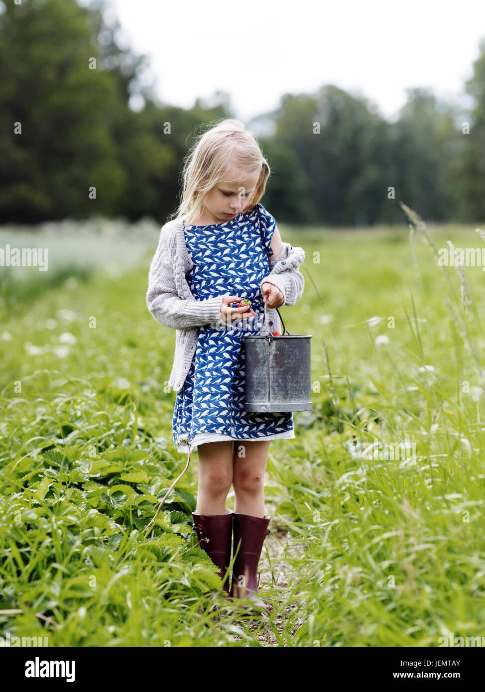 The girls strawberry patch hi-res stock photography and images - Alamy