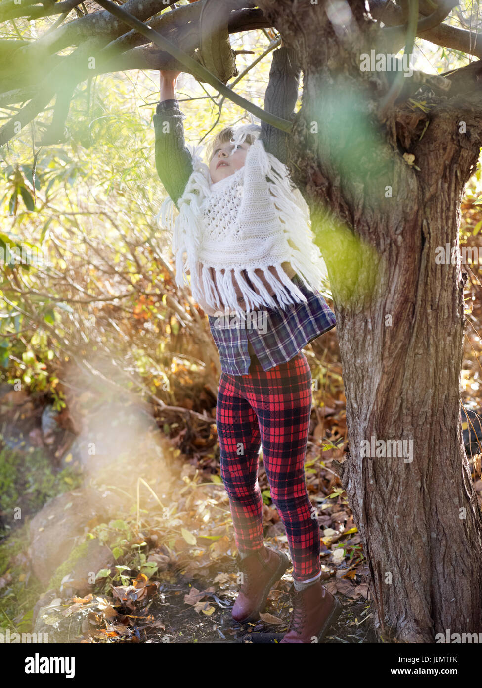 Girl playing on tree Stock Photo - Alamy