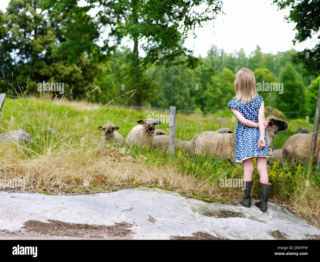 Girl looking at sheep on pasture Stock Photo - Alamy